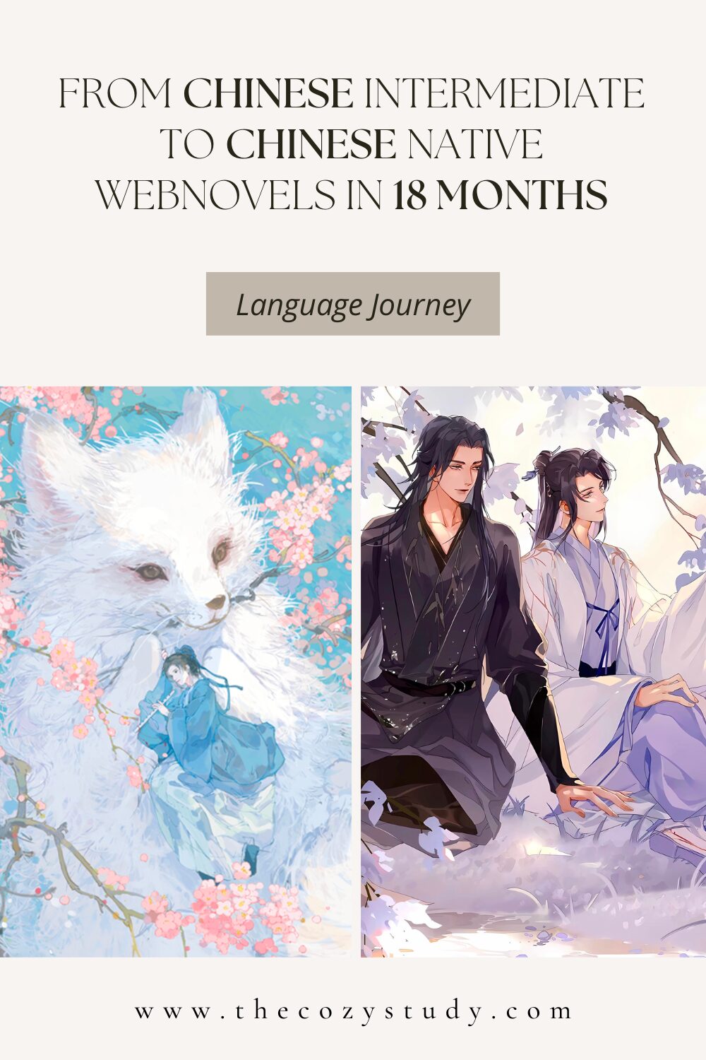 From Chinese intermediate to Chinese native webnovels in 18 months – The Cozy Study